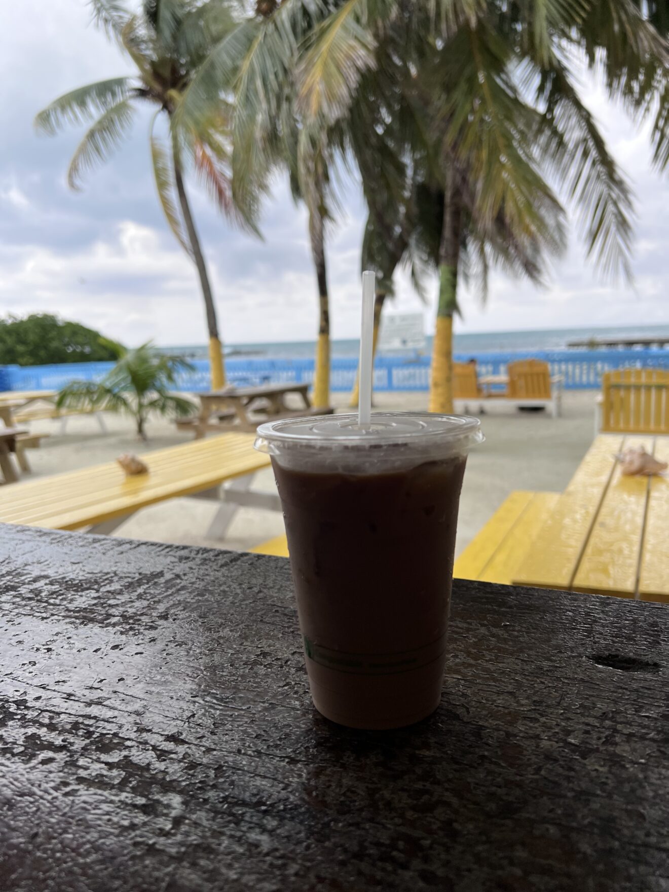 Coffee Production in Belize - Sighting Sarah